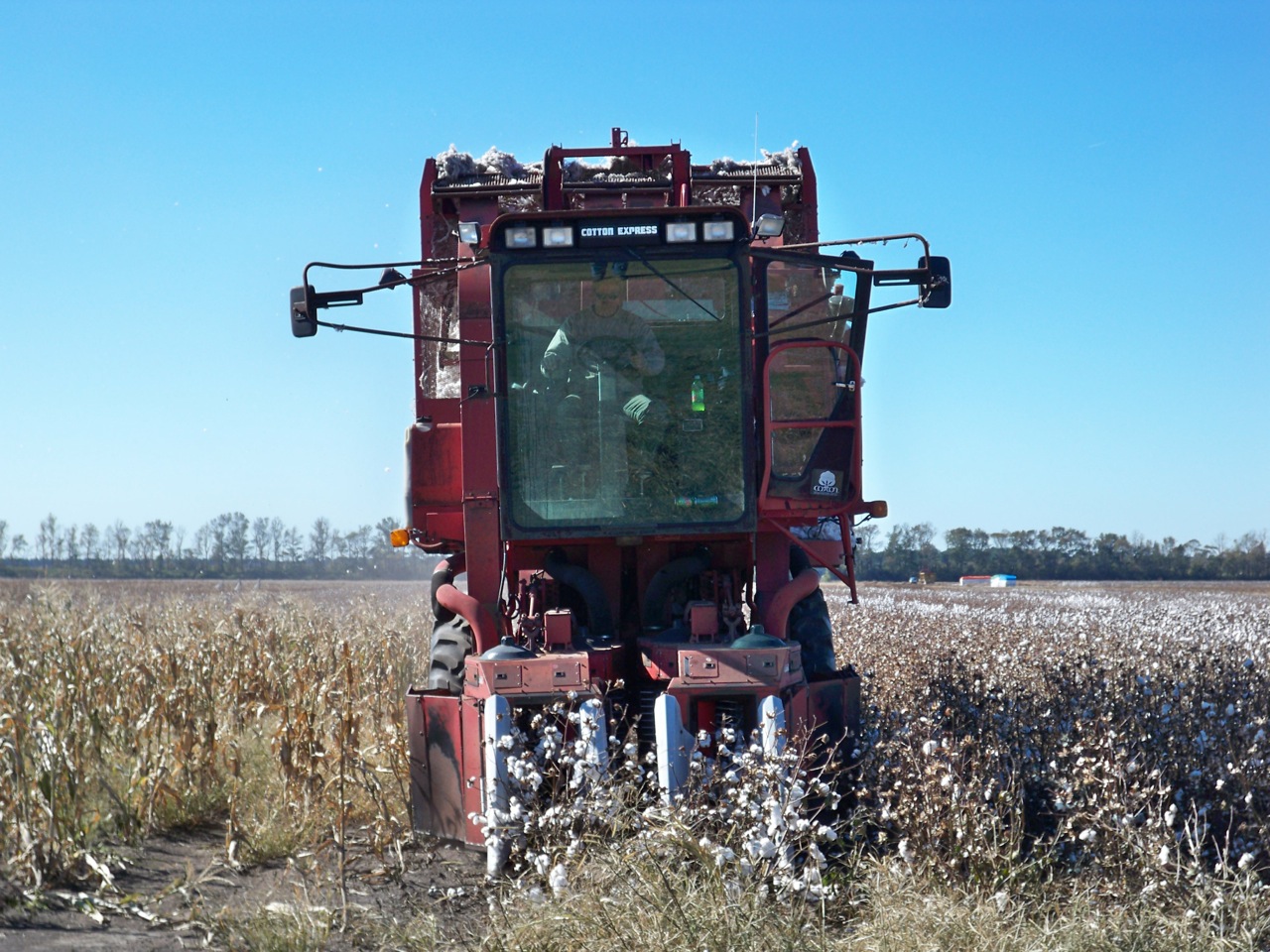 IMPACT Agronomics – Making a Difference